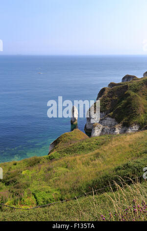 Chalk stack at Flamborough Head East Yorkshire Stock Photo - Alamy