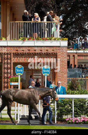 Pre-parade ring with Weigh-In Building beyond. York Racecourse, York ...