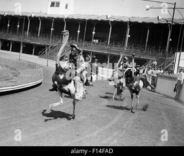 Old Man Riding an Ostrich Stock Photo - Alamy