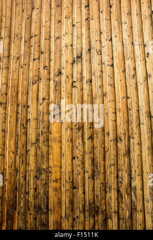 NATURAL TEXTURES IN NATURE, WOOD, TREES, TRUNKS, GREEN, OUTDOORS, MACRO ...