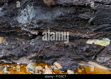 Close up of the layers of peat in the wall of a peat hag, part of a ...