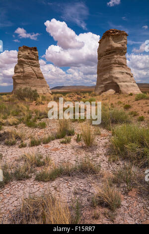 USA ARIZONA ELEPHANT'S FEET SANDSTONE PILLARS NEAR US 160 Stock Photo ...