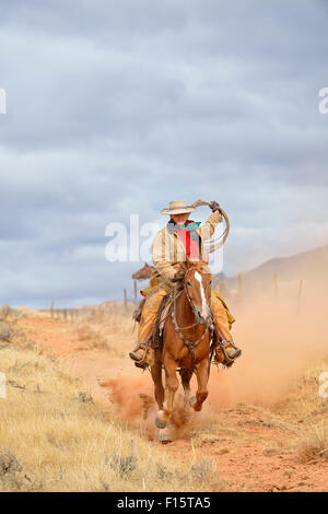 Female ranch hand, or cowgirl, riding horse in the sunset on a ranch in ...