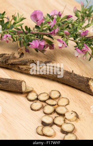 Spiny restharrow, root, Dornige Hauhechel, Dorniger Hauhechel ...
