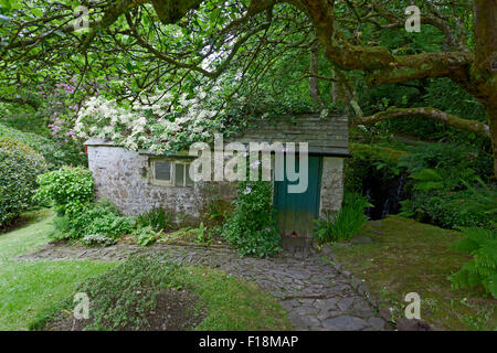 An shady outbuilding with roof covered by a climbing plant at Docton ...