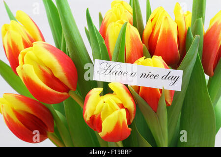 Have a nice day card with colorful tulips Stock Photo - Alamy