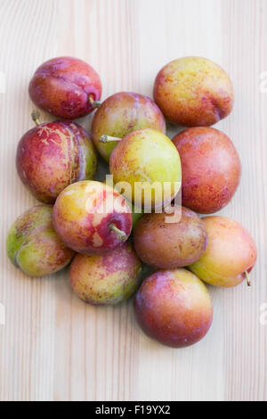 Close up of colourful ripe plums on the tree Stock Photo - Alamy