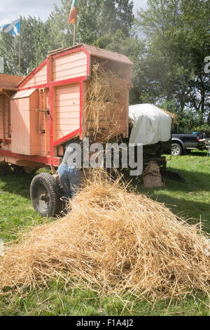 Old traditional threshing machine or 'thresher' and reaper binder at ...
