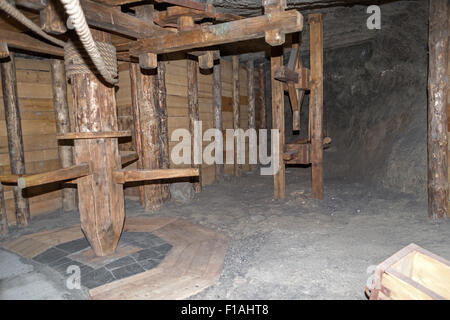 Wooden supports Upper Urszula Chamber (Komora Urszulla Gorna ...
