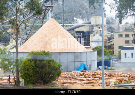 Timber industry, Tasmania, Australia Stock Photo - Alamy