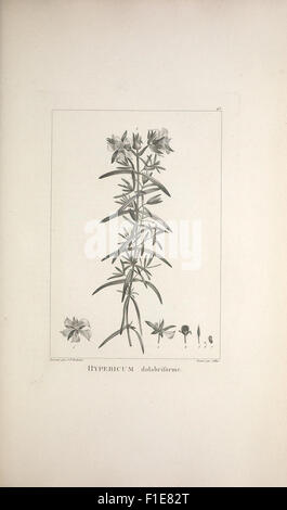 This botanical work describes rare and newly discovered plant species ...