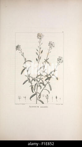 A detailed illustration and description of lesser-known and newly ...