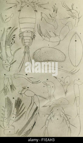 This 1853 work focuses on the crustaceans found in Scania, specifically ...