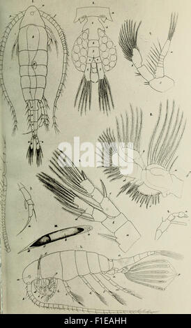 This 1853 work focuses on crustaceans from three major orders—Cladocera ...