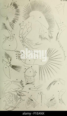 This 1853 work details the crustacean species found in the Scania ...