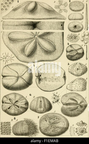 This 1860 work provides a scientific description and illustration of ...