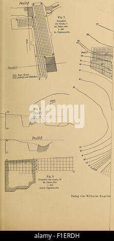 'Die Pithecanthropus-Schichten auf Java' (The Pithecanthropus Layers on ...
