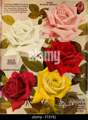 Dingee guide to rose culture - for more than 60 years an authority 1918 ...