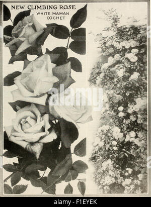 Dingee guide to rose culture - for more than 60 years an authority 1918 ...