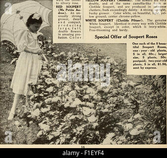 Dingee guide to rose culture - for more than 60 years an authority 1918 ...