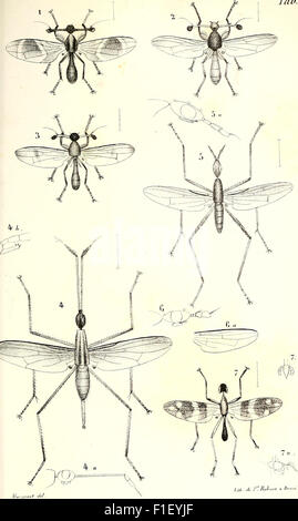This 1838 work focuses on newly discovered or lesser-known exotic ...