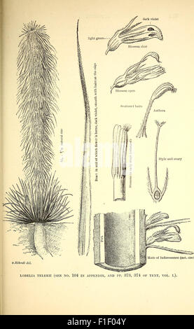 This 1894 narrative by Count Samuel Teleki details his 1887-1888 ...