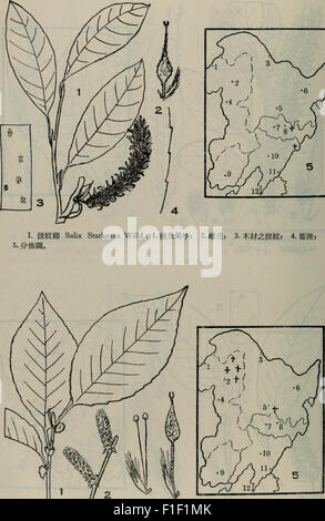 'Dong Bei Mu Ben Zhi Wu Tu Zhi' (1955) is a Chinese work detailing the ...