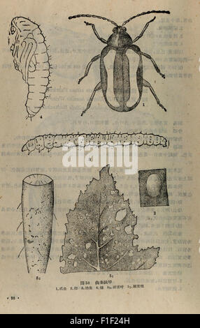 'Dong Bei Nong Zuo Wu Hai Chong Tu Shuo' (1959) is a Chinese ...