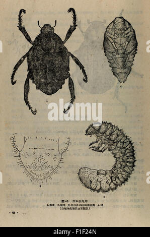 'Dong Bei Nong Zuo Wu Hai Chong Tu Shuo' (1959) is a Chinese ...