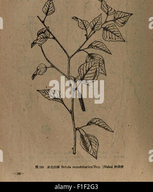 *Dong bei zhi wu yao tu zhi* (1959) is a Chinese botanical work ...