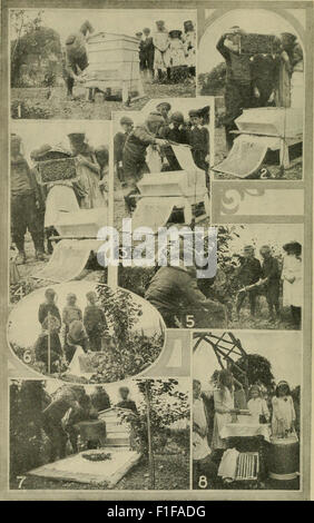 Gleanings in Bee Culture (1913): A comprehensive guide on bee culture ...
