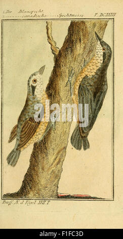 'Herrn von Buffon's Naturgeschichte der Vögel' is a classic work on ...