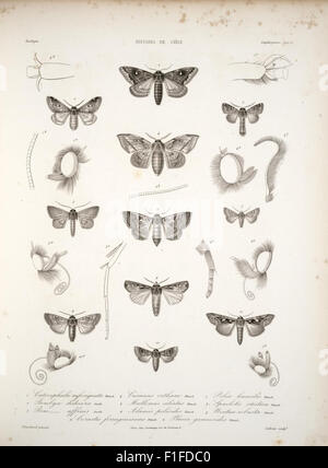 This work, published under the auspices of the Chilean government ...