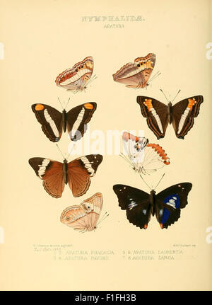 This work provides illustrations of newly identified species of exotic ...