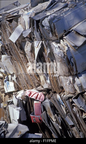 CARDBOARD BOXES COLLAPSED AND BUNDLED READY FOR RECYCLING, WESTERN ...