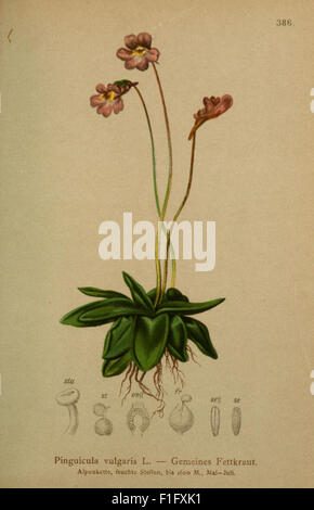This atlas provides a comprehensive collection of Alpine plants, with ...