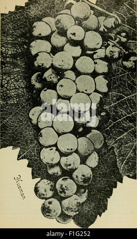'Our Native Grape' (1893) provides an overview of grape varieties ...