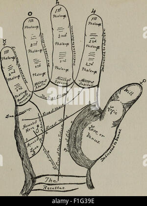 *Perin's Science of Palmistry* (1902) is a comprehensive guide on the ...