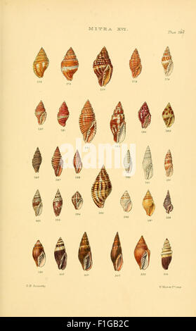 This work provides a comprehensive study of mollusks, offering detailed ...