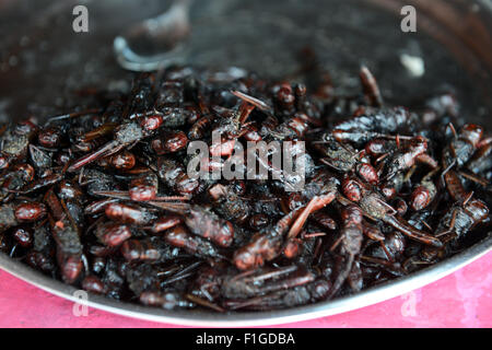 Deep Fried Grasshopper Stock Photo: 97722343 - Alamy