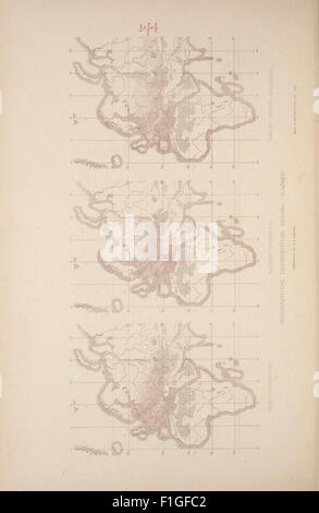 A detailed study of British warblers, focusing on species within the ...