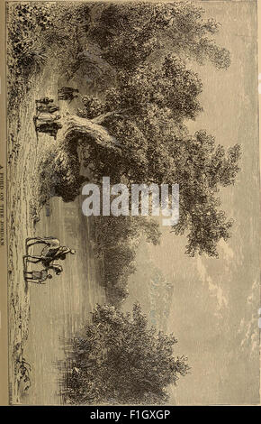 This 1881 publication provides the Revised Version of the New Testament ...