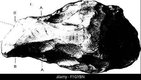 An illustration from 'The Transition from Rostro-Carinate Flint ...
