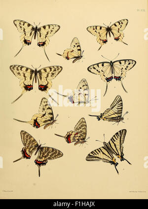 This catalog from the British Museum details Mesozoic plant fossils ...