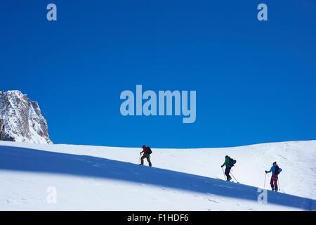 Row of male and female skiers skiing down snow covered ski slope, Aspen ...