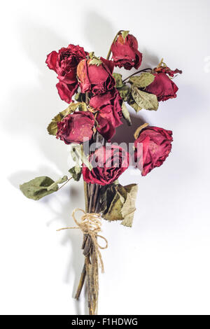 red dried rose bouquet being tied with rope. Isolated on white wooden ...