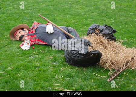 A Drunk and Fallen Scarecrow on Display at Hickling Village Show Stock ...