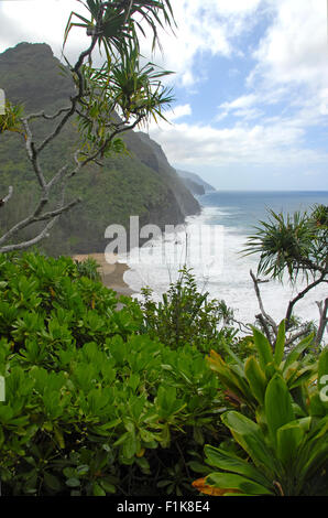 Rugged road to Hana, South Maui, Hawaiian islands, USA Stock Photo - Alamy