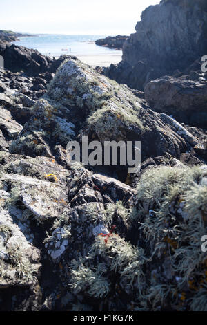 A view across the cove at Porth Ysgaden, Tudweiliog, Llyn Peninsula ...