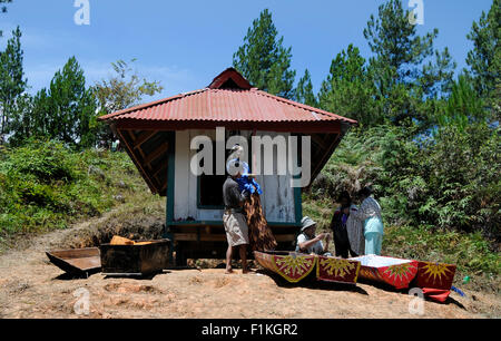 Manene Ritual, Tradition Ancient Ancestor Bodies Changing Clothes Stock ...